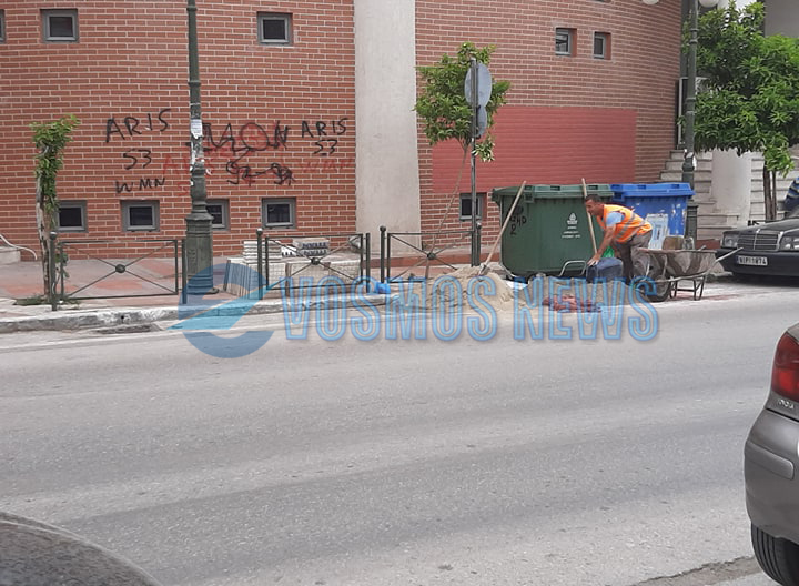 ΕΠΙΣΚΕΥΗ ΠΛΑΚΙΔΙΩΝ ΚΑΙ ΠΕΖΟΔΡΟΜΙΟΥ