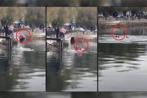Η Α.Πάνια μιλά για το ροζ βίντεο που της χρεώνουν - «Η Τσίλα και η ...