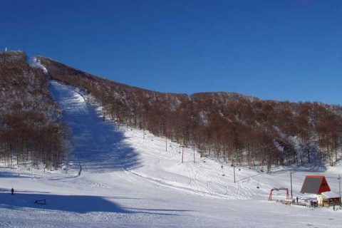 ΕΦΑΓΕ ΤΟ ΚΕΦΑΛΙ ΤΗΣ!! ΑΥΤΟ ΕΙΝΑΙ ΤΟ