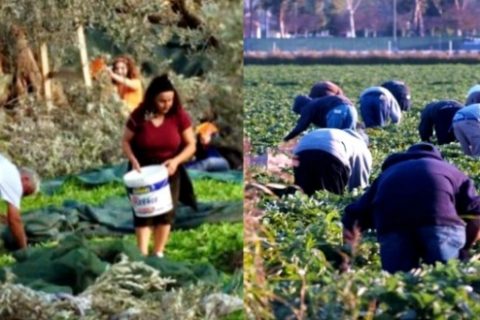 ΣΟΚ ΣΕ ΖΩΝΤΑΝΗ ΜΕΤΑΔΟΣΗ ΓΙΑ ΤΗ ΝΙΚΟΛΟΥΛΗ!