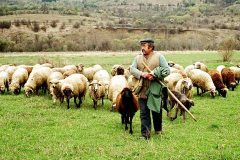 ΤΟΥ ΕΙΧΕ ΖΗΤΗΣΕΙ ΝΑ ΧΩΡΙΣΟΥΝ ΕΙΠΕ Ο