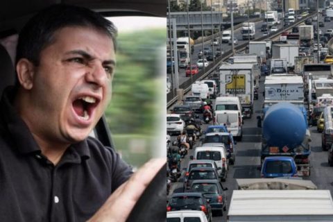 Φίδια στις πόλεις: Τι πρέπει να κάνουμε