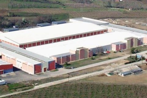 ΡΑΓΔΑΙΕΣ ΕΞΕΛΙΞΕΙΣ ΣΤΟ ΘΡΙΛΕΡ ΤΗΣ