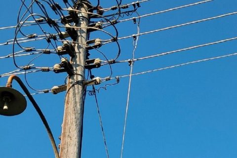 Φίδια στις πόλεις: Τι πρέπει να κάνουμε