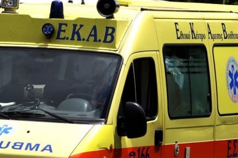 Φίδια στις πόλεις: Τι πρέπει να κάνουμε